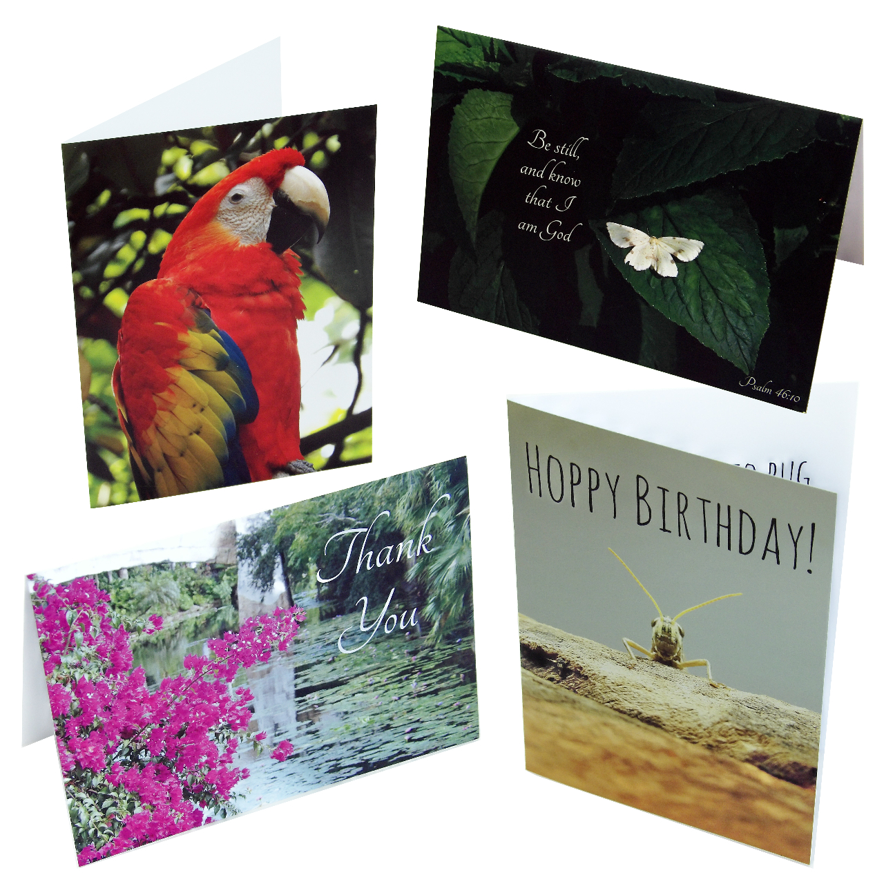 Photos For Life – Taking photos to help save innocent lives